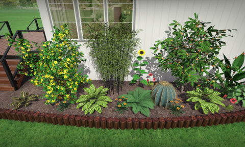 New Landscaping Software